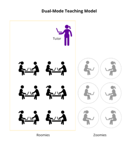 Dual-mode teaching - Technology Enhanced Learning and Design