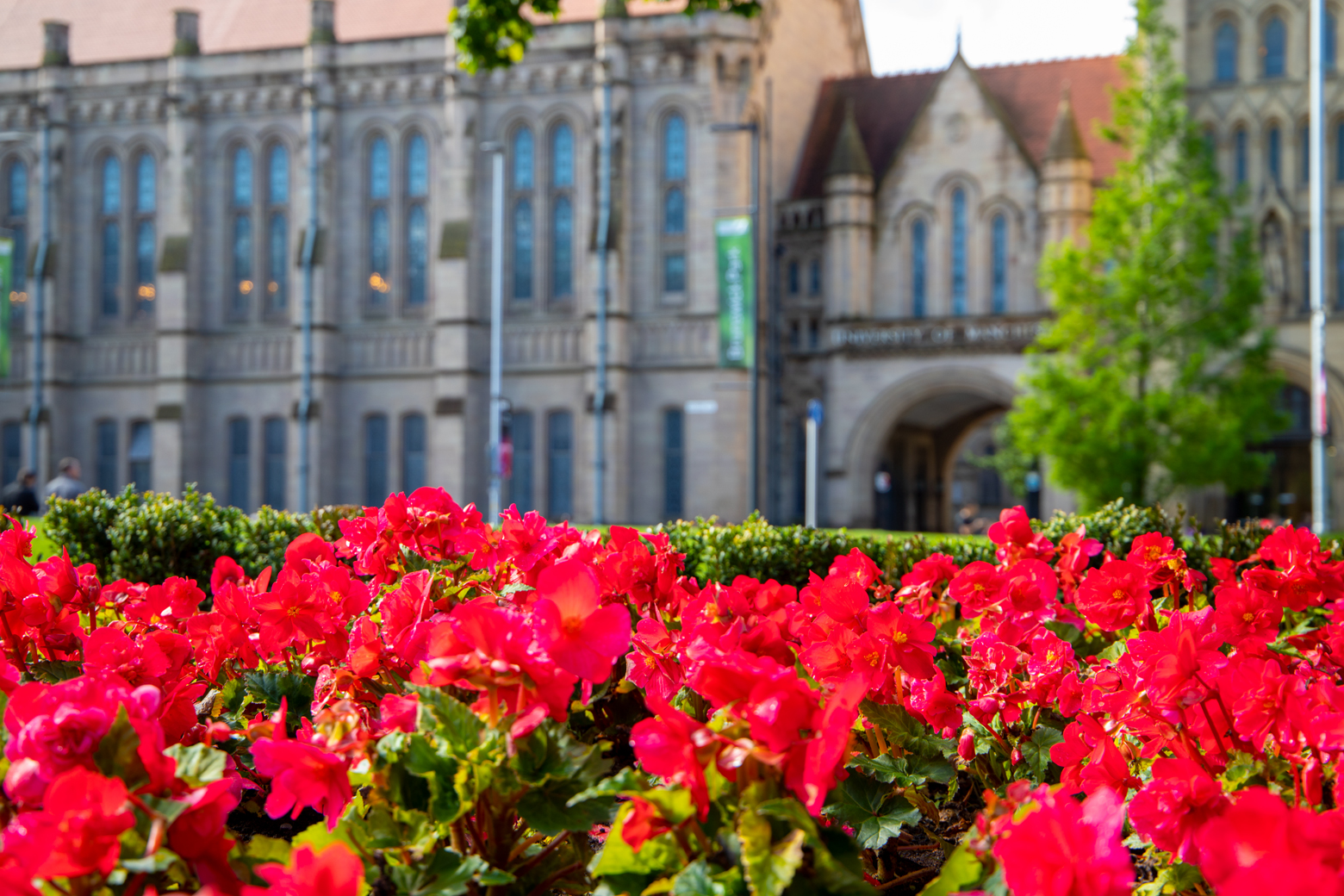 FBMH eLearning Newsletter - Technology Enhanced Learning and Design